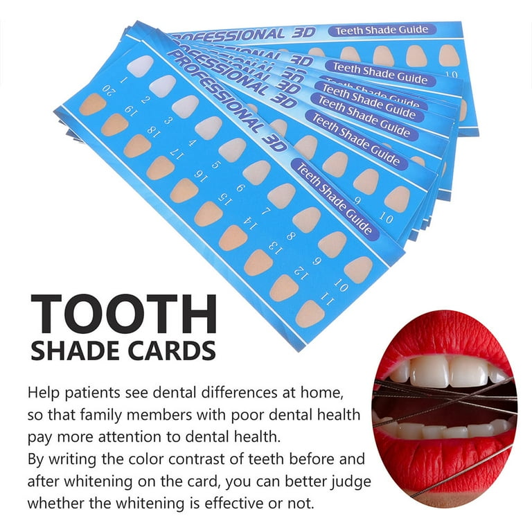 Vita Shade Guide Dental Teeth Shade Guide 20 Colors 3D Professional ...