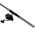 Daiwa BG Saltwater Spinning Fishing Rod and Reel Combo - 2500/701MML ...