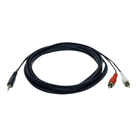 Tripp Lite 6ft Mini Stereo to 2 RCA Audio Y Splitter Adapter Cable 3 ...