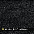 Wakefield BioChar Organic Soil Conditioner, Indoor/Outdoor, 1 Cubic ...
