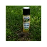 Spectracide 2 Pack Carpenter Bee and Yellowjacket Killer Spray, 16oz ...