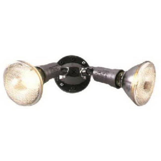 Cooper Lighting 2-Light Outdoor Spotlight - Walmart.com