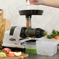 Omega J8006HDC 200W Single Self-Cleaning Juice Extractor, Easy Cold ...