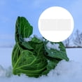 AOOOWER Multipurpose Garden Winter Shield 2x10m/2x5m Cloth Light ...