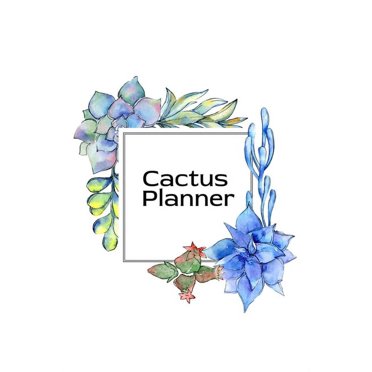 The A+ Homeschool Planner (Paperback) - Walmart.com