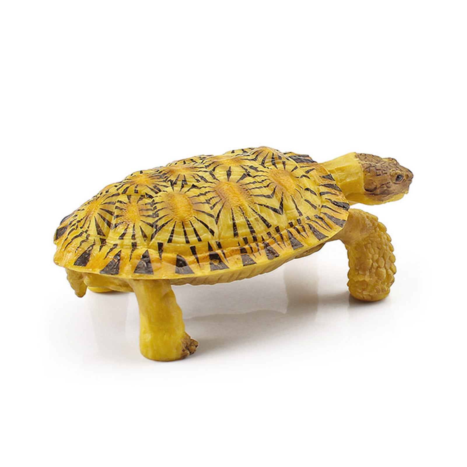 Sulcata Tortoise Mold Vivid Clear Texture 3D Effect Sea Ocean Life ...