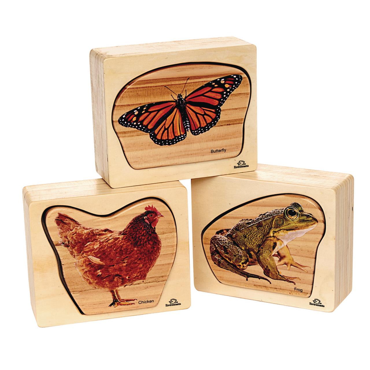 Environments earlySTEM Life Cycles Nesting Puzzles Set of 3 (Item ...