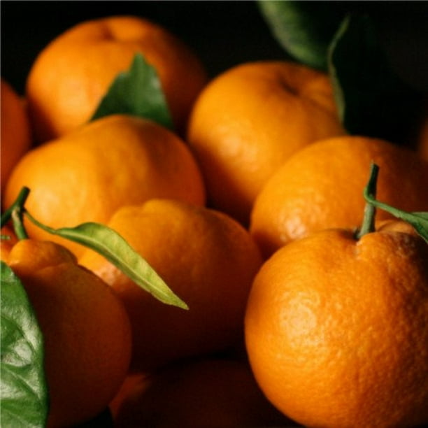 Satsuma Mandarins - 4 lb - Walmart.ca