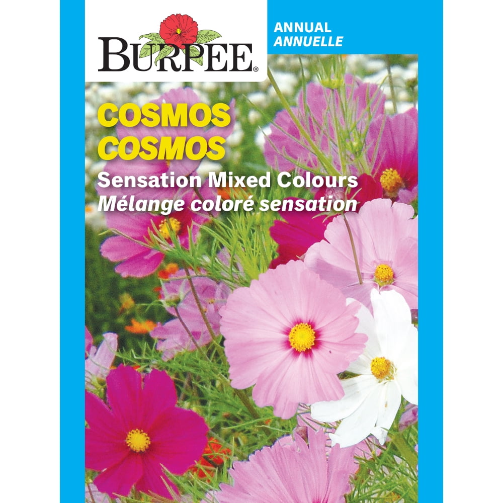 Burpee Canada Burpee Sensation Mixed Colours Cosmos