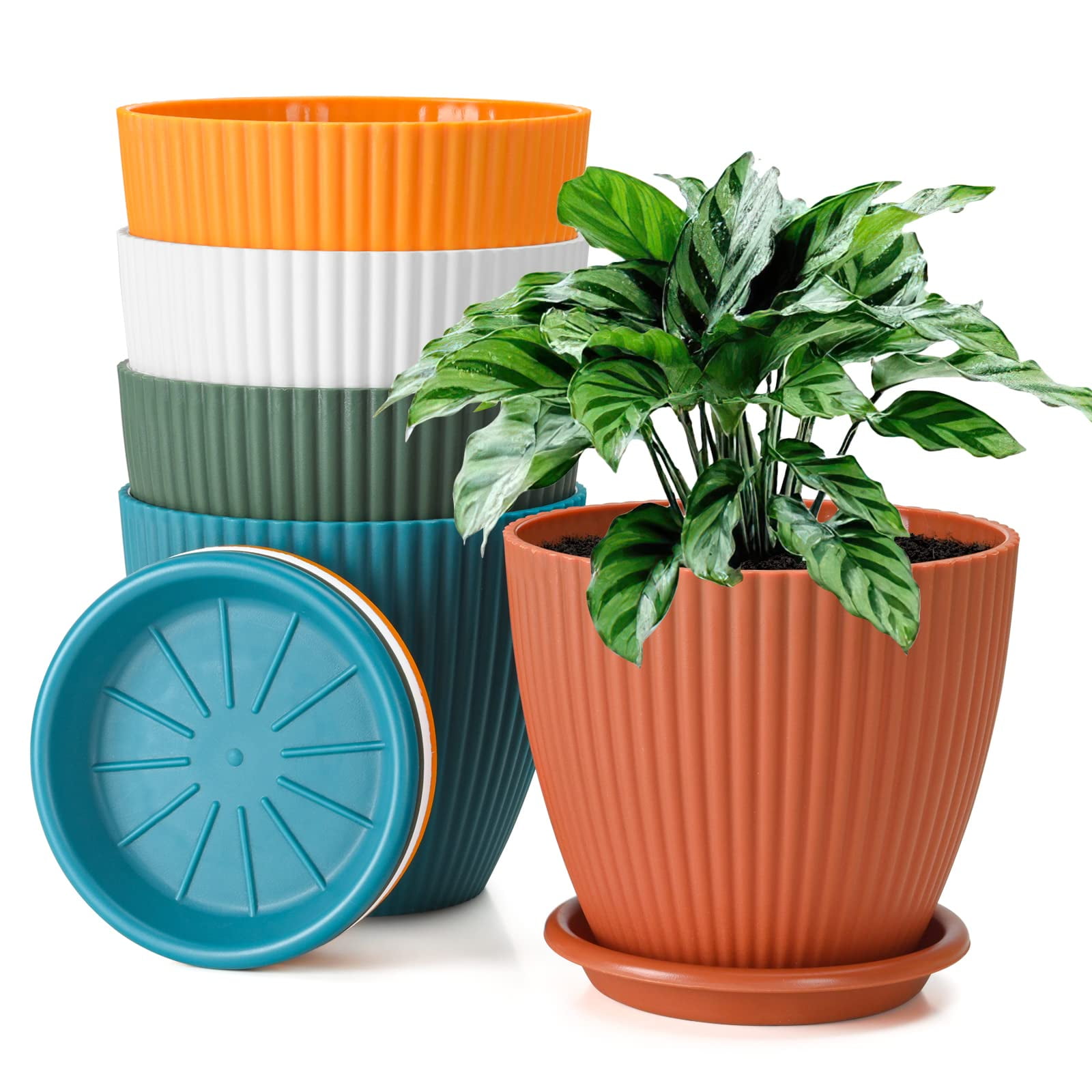 6 inch Planter Pots for Indoor Plants, 5 Pack Plastic Plant Flower Pots ...