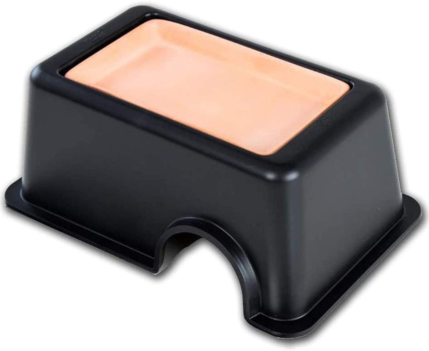 Tianlu Reptiles, geckos and cave hiding places, providing water for ...