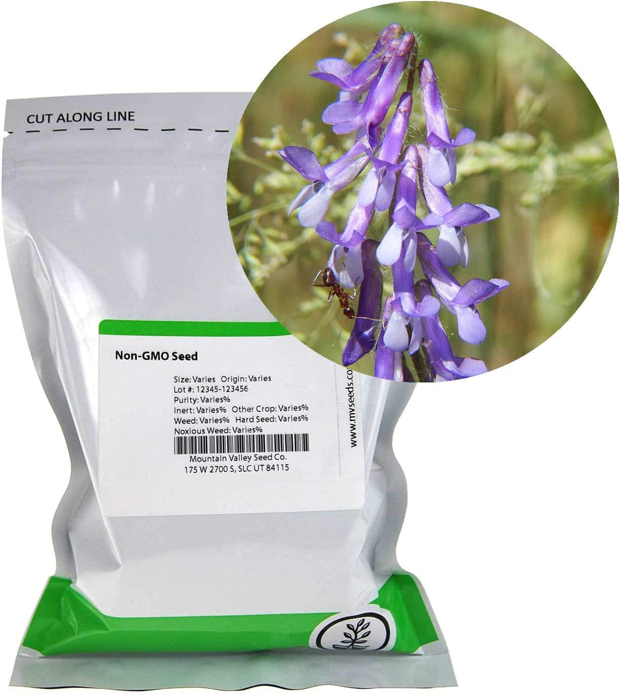 Hairy Vetch Winter Cover Crop Seeds - 1 Lbs - Field & Pasture Legume ...