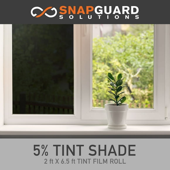 Window Spray Tint