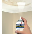 Bright White, Zinsser Ceiling Paint & Primer in One Spray-316133, 13 oz ...