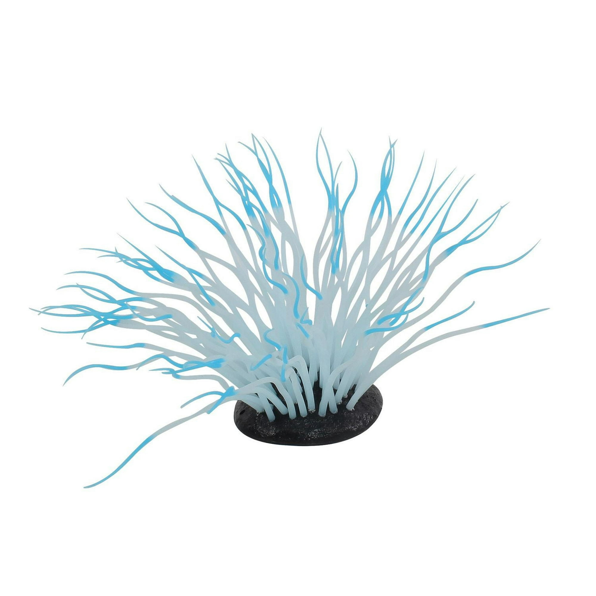 Click here for Penn-Plax  Sea Anemone  Blue prices