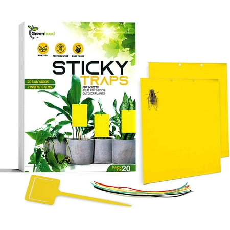 Yellow Sticky Traps ( 20 Pcs ) | Killer for Fungus Gnats, Fruit Flies ...