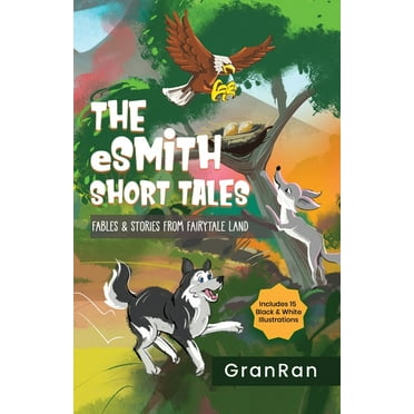 Fairy-Tale Matchmaker: The Perfect Match (Paperback) - Walmart.com