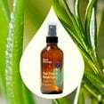 Plant Therapy Tea Tree & Rosemary Facial Mist 4 oz Instantly Hydrates ...