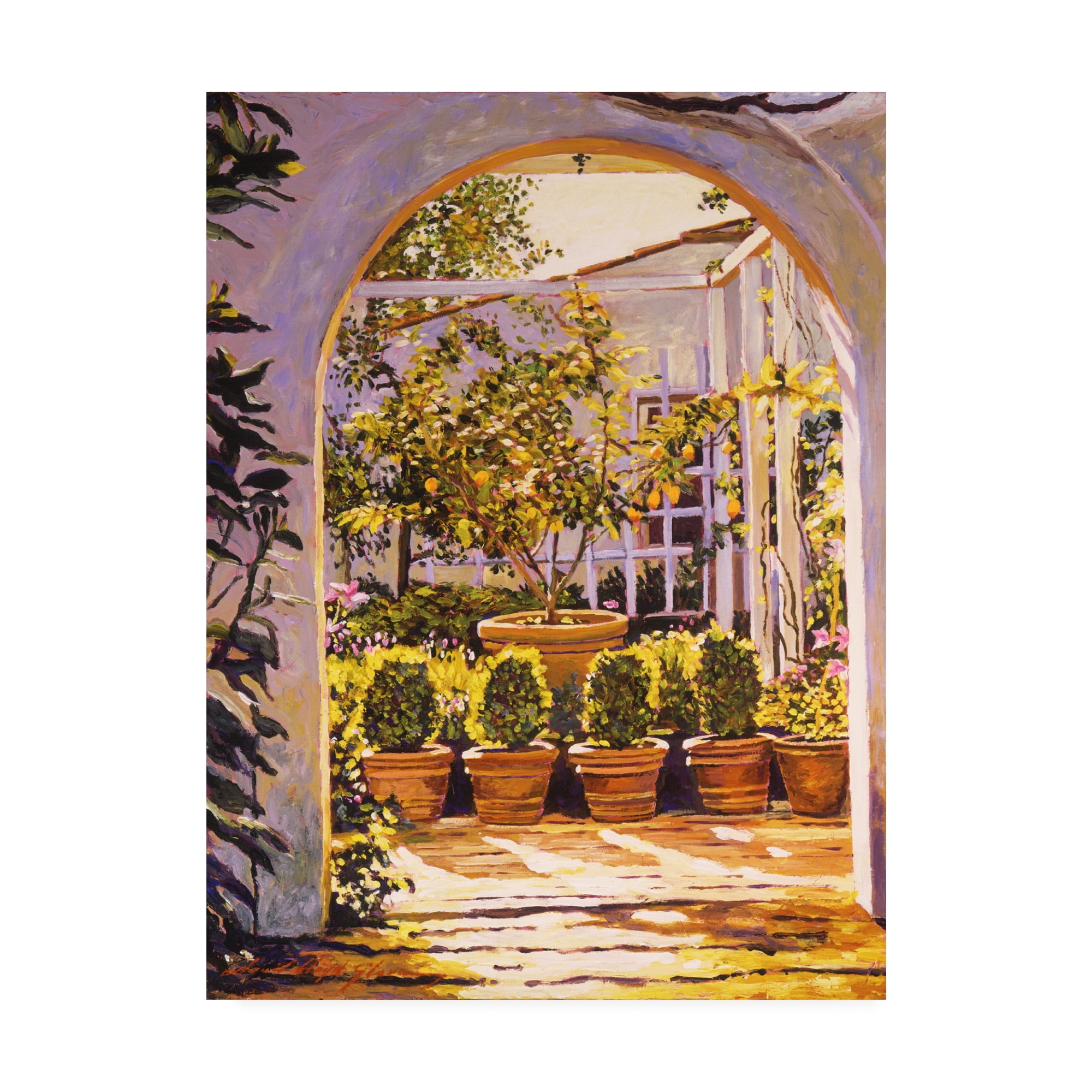 Trademark Fine Art 'The Lemon Tree Courtyard' Canvas Art by David Lloyd ...
