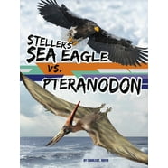 Who Would Win? Whale vs. Giant Squid ( Who Would Win? ), (Hardcover ...