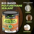 Eco-Tuff Clear Coat Polyurethane Wood Sealer - Chemical & UV Resistant ...