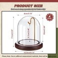 4 Pcs 3" x 4" Watch Ornament Glass Display with Hooks Dome Cloche with ...