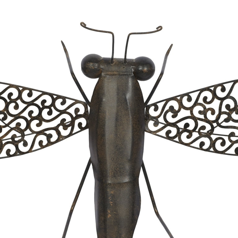 Scroll Dragonfly