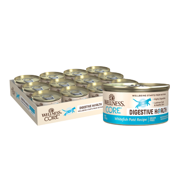 Wellness CORE Signature Selects Wet Cat Food, Chunky Chicken & Salmon ...