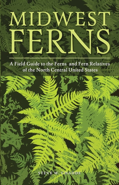 Midwest Ferns : A Field Guide to the Ferns and Fern Relatives of the ...