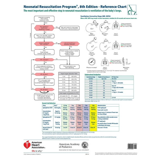 Nrp: Nrp Wall Chart (Edition 8) (Poster) - Walmart.com