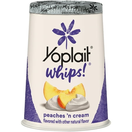 070470166940 - Yoplait Go Gurt Fizzix Fizzy Lowfat Yogurt Snack | UPC ...