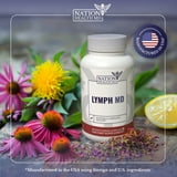 Nation Health MD Lymph MD, Immunity and Circulation Support, Dandelion ...