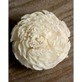 Flowers 2-2.5" Cream White Chorki Set of 12 - Walmart.com
