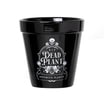 Alchemy Gothic Witches Spell Garden Plant Pot - Walmart.com