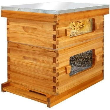 Bee Hive Boxes 10 Frame Langstroth Beehive,Complete Beehive Kit Includes 2 Deep Brood Bee Hives ...