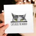 3drose, Charming Green Eyed Cat. Cats Rule the World. Funny Positive ...