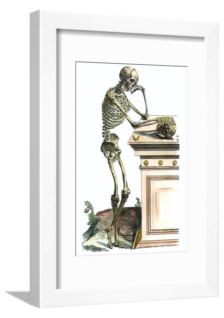 Vesalius: Skeleton, 1543 Framed Print Wall Art By Andreas Vesalius ...