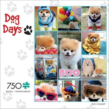 Buffalo Games Darrell Bush - School Days 1000 Pieces Jigsaw Puzzle ...