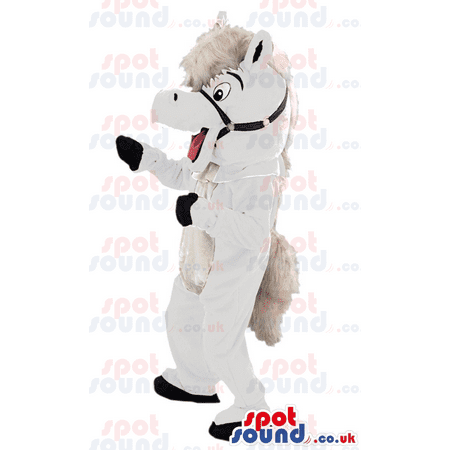 Funny Cute white horse wants to give you a big hug - Animal mascots ...