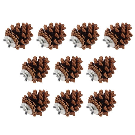 Parrots Chewing Pine Cones, Pine Cone Chewing Bird Toy Multifunction ...