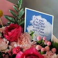 3drose, Bible Quotes - the Grace of the Lord. White Cloud, Tulips, 6 ...