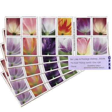 Poinsettia USPS Global International Postage Stamp 1 Sheet of 10 US ...