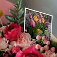 3drose, Usa, Washington, Seabeck. Tulip Flowers - Us48 Bja0343 - Jaynes ...