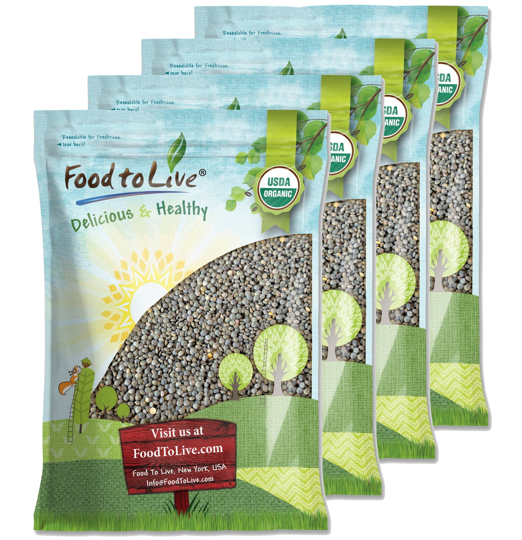 Organic French Green Lentils, 50 Pounds – Non-GMO, Kosher, Sproutable ...