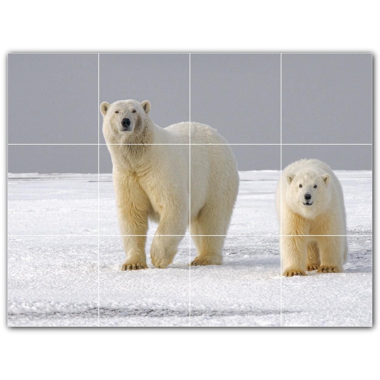 Picture-Tiles.com: Bear Ceramic Tile Wall Mural WAL500111-43M. 24"W x ...