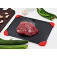 SDFGTstore Fast Defrosting Tray for Frozen Meat Large Size Thawing ...