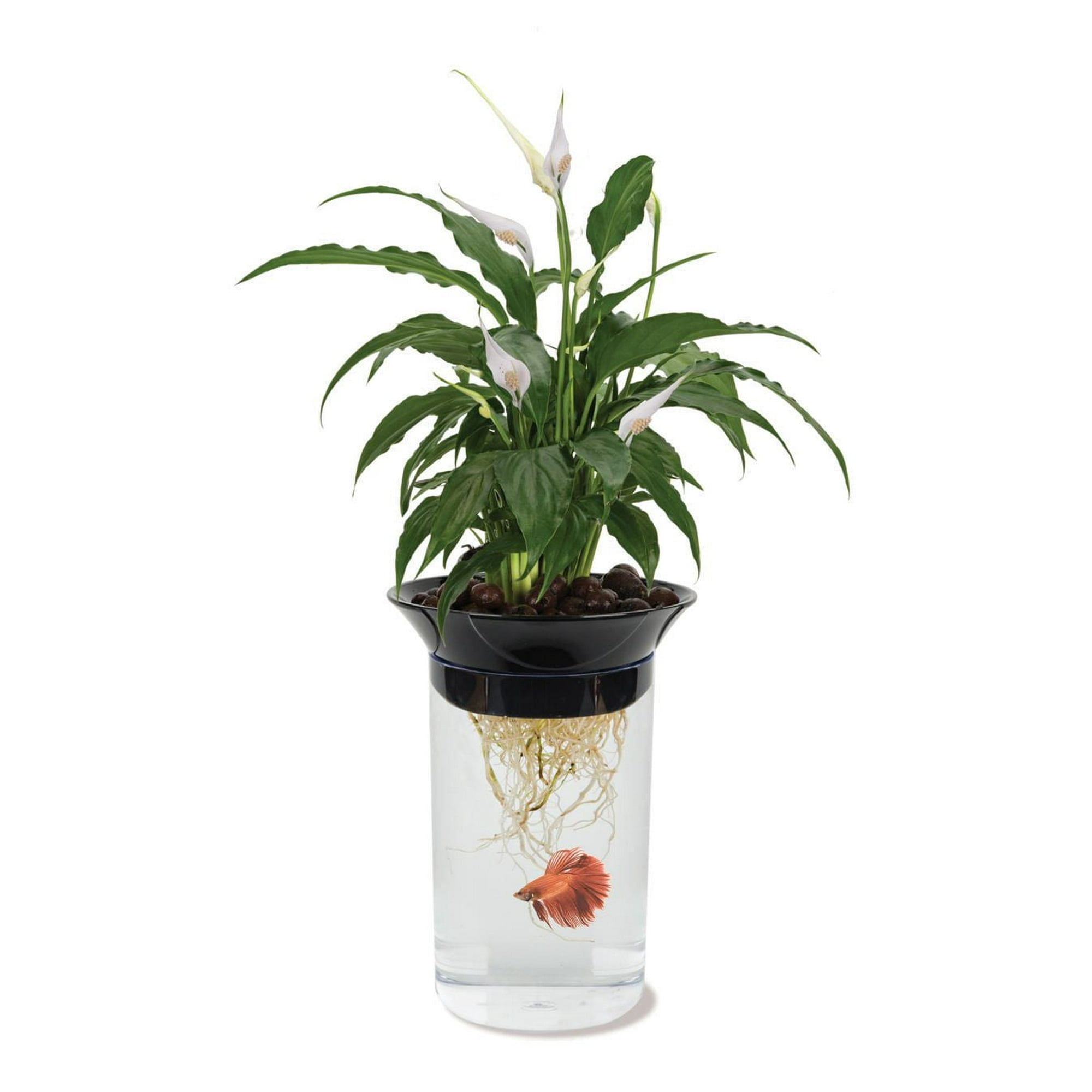 Click here for Penn-Plax Aqua-Ponic Planter And Aquatic Habitat -... prices