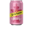 Schweppes Raspberry Ginger Ale, 24 Pack of 12 Fl Oz Cans - Walmart.com