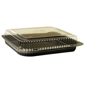 Shallow Container