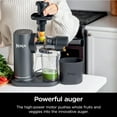 Restored Ninja NeverClog Cold Press Juicer, Powerful Slow Juicer with ...
